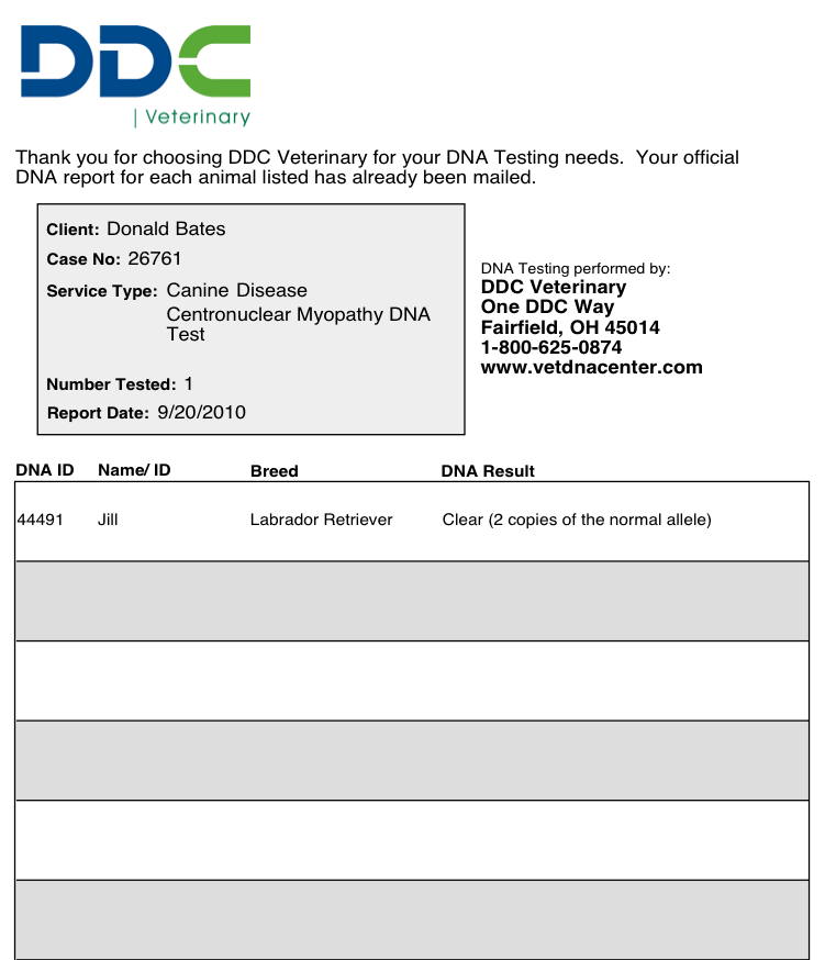Fillable Fake Paternity Test Results Template